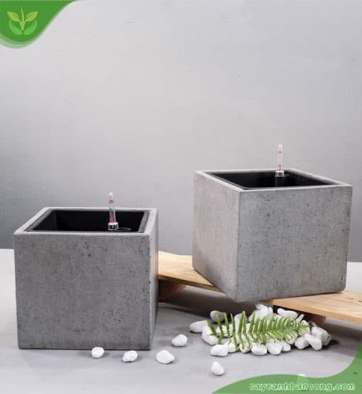 Chậu trồng cây xi măng đá mài tự dưỡng hình vuông màu xám XM009
